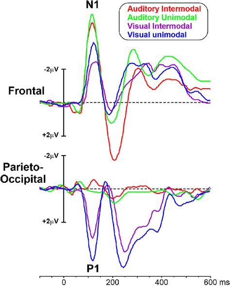 E Post Stimulus Erp Waveforms Separately For The Two Stimulus