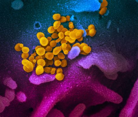 Cómo Funciona El Baricitinib Ya Tiene El Visto Bueno Para Su Uso En