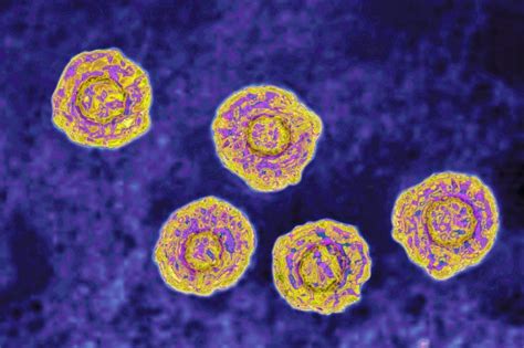 Advanced Service To Pay Pharmacies £36 Per Point Of Care Hepatitis C