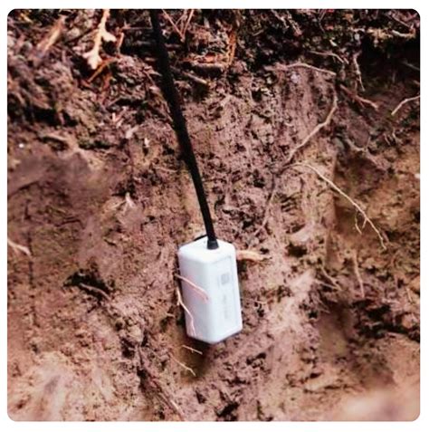 Apa Manfaat Soil Data Logger Untuk Mengukur Suhu Dan Kelembapan Tanah Loggerindo