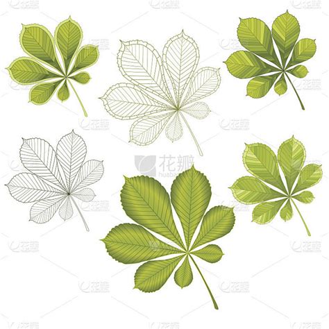 彩色镶嵌板栗叶。孤立。容易修改。