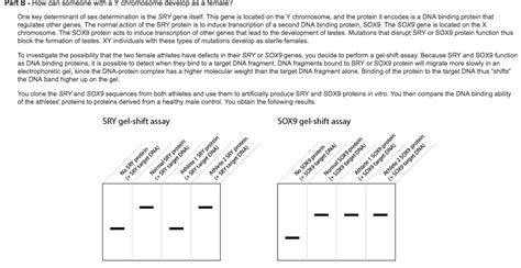 Solved Part B How Can Someone With A Y Chromosome Develop As