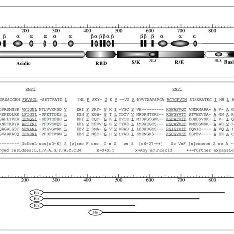hap structural features a schematic diagram highlighting structural