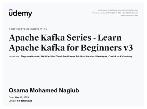 Osama Nagiub On Linkedin Udemy Course Completion Certificate