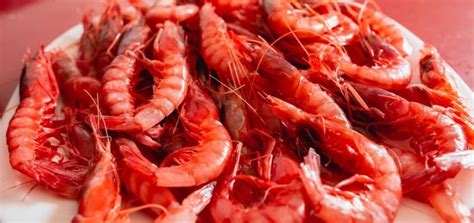 Propiedades Y Beneficios De Las Gambas Compesca