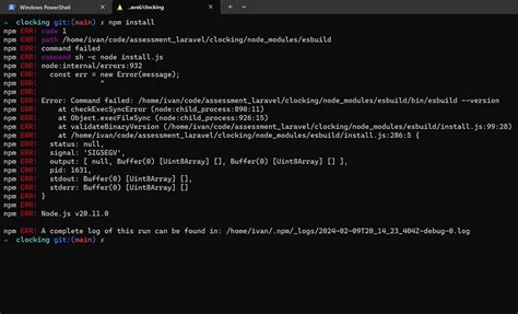 Error In Running Npm Install In Wsl2 Tutos Laravel Corner