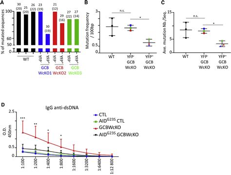 Critical Role Of Wasp In Germinal Center Tolerance Through Regulation Of B Cell Apoptosis And