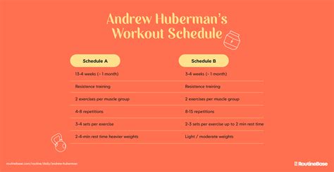 Productivity Hacks From Andrew Huberman S Daily Schedule