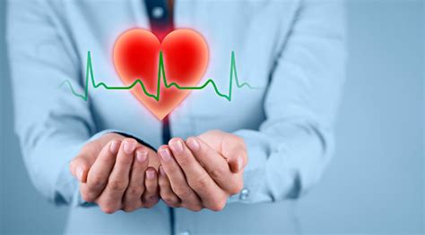 Funciones De La Secretaria De Salud