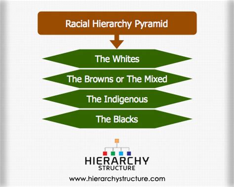 Racial Hierarchy In The United States Hierarchy Structure