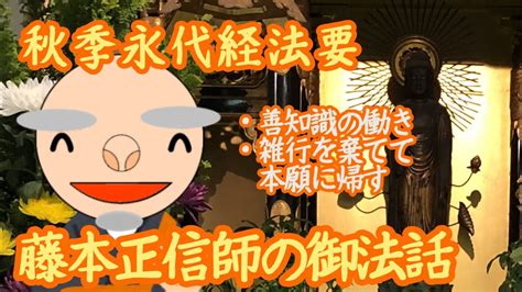 秋季永代経法要藤本正信師 2023 9 3 雑行を棄てて本願に帰すいんじゅん爺や YouTube