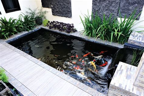 Great Ideas Garden Pond Ideas For Inspiration Homie Daily