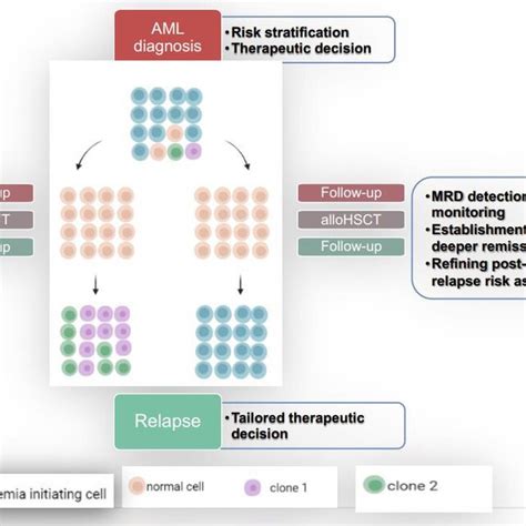 Role Of Single Cell Sequencing From Diagnosis To Relapse Download Scientific Diagram