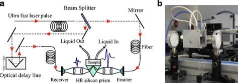 A Schematic And B Picture Of The Thz Atr Setup Download Scientific Diagram
