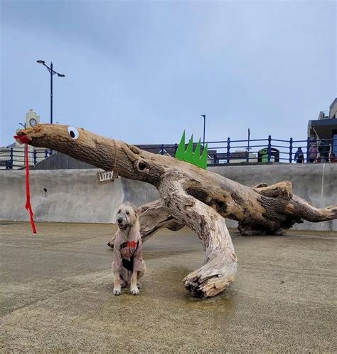 A Huge Object Washed Up On A Welsh Beach And Has Become A Local