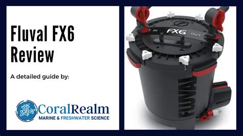 Fluval Fx6 Aquarium Canister Filter Review A Great Choice Coralrealm