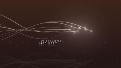Create amazing motion trails using expressions in after effects – Artofit