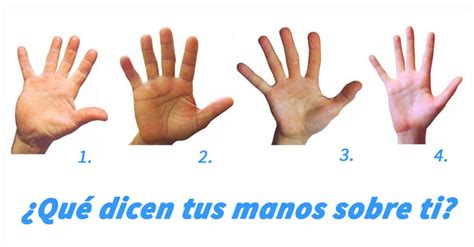 ¿qué Dicen Tus Manos Sobre Ti ¡entérate Con Este Test