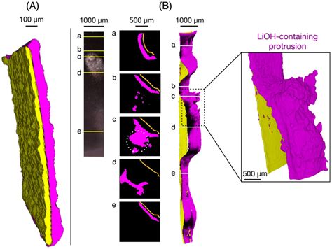 3d Colorized Segmented Volumes A Pristine Graphite Anode B Xfc