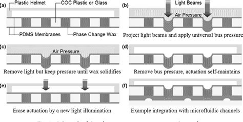Figure 1 From A Light Writable Microfluidic Flash Memory Optically