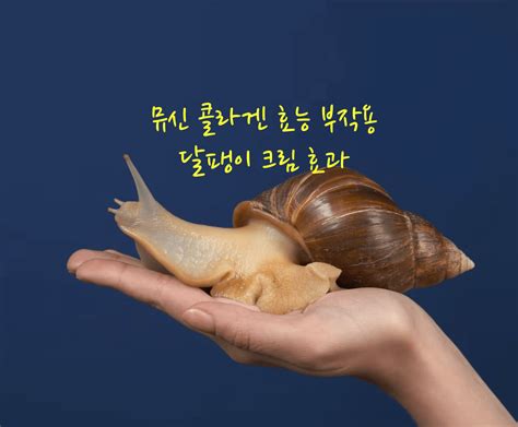 뮤신 콜라겐 효능 부작용 달팽이 크림 효과