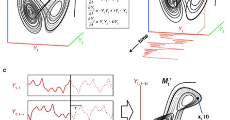 an illustration of the takens theorem biological nonlinear dynamics