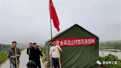 正式启动！黄金埠镇全力以赴， 积极应对汛期强降雨防汛