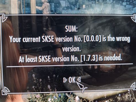 CBBE Issue Help I Ve Messed Up My Game Technical Support Skyrim Special Edition LoversLab