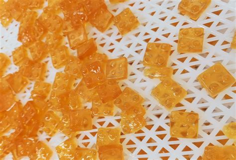 Gmp Compliant Gummy Making Machines Up To 240k Hr Gummygenix