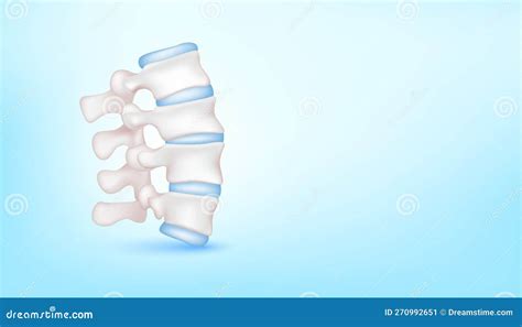 Backbone Disc Joint With Healthy Cartilage On Blue Background With Copy