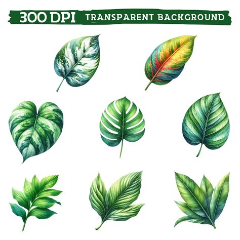 Tropical Leaves Clipart Watercolor Vibrant Greenery Spring Leaf