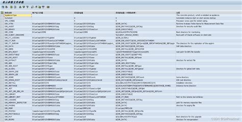 sap 服务器参数文件详细解析 sap参数文件 csdn博客