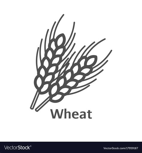 Wheat Ear Line Icon Outline Sign Linear Style Vector Image