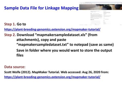 Linkage Mapping Lab PPTX Genetics Science