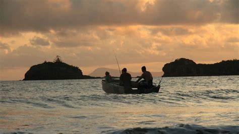 About Abc Tropical North Abc Tropical North