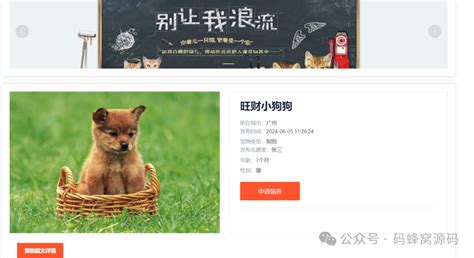 【开题报告文档源码】基于springboot的宠物领养系统设计与实现 Csdn博客