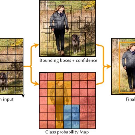 YOLO Workflow Example Download Scientific Diagram