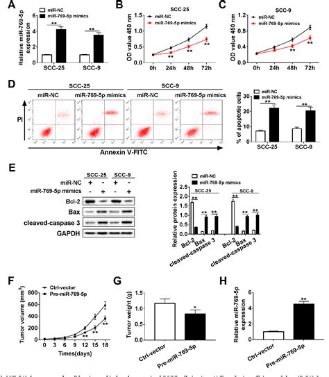 Figure 2 From Mir 769 5p Inhibits Cancer Progression In Oral Squamous