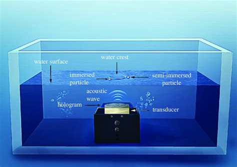 illustration of the particle manipulation based on hfm the acoustic