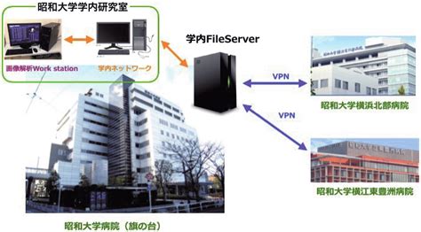 File Server Virtual Private Networkvpn Download Scientific Diagram