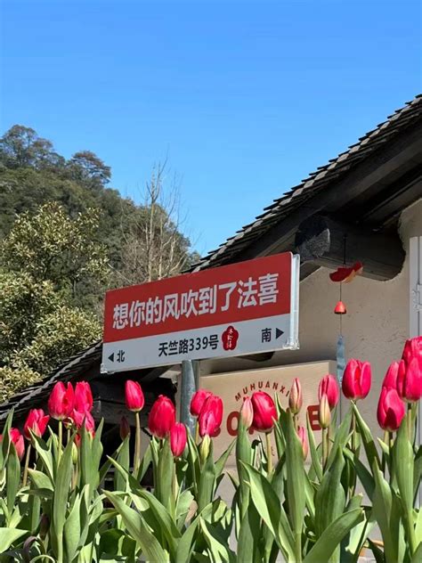 90后00后“寺庙游”爆火，墙内有什么吸引着年轻人？ 大作设计网站专栏 大作官网