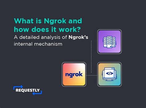 what s ngrok and how it works r webdev