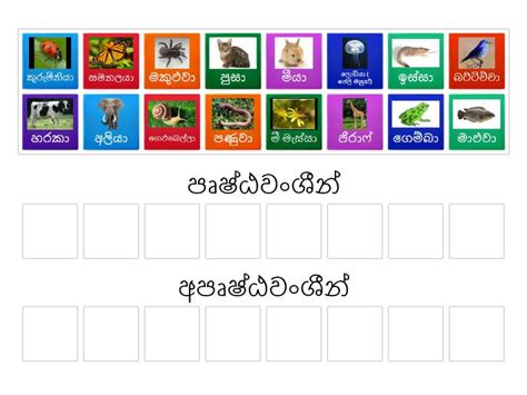 7 ශ්‍රේණිය සත්ත්ව විවිධත්වය කෑ දෙහි හිගුරලකන්ද ම වි N K R L
