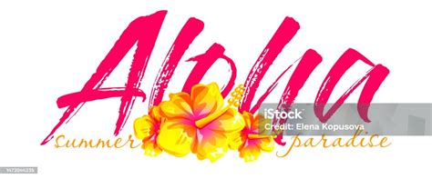 알로하 하와이 열대 휴가 개념 흰색 배경에 히비스커스 꽃이 있는 하와이어로 된 환영 텍스트 히비스커스에 대한 스톡 벡터 아트 및 기타 이미지 Istock