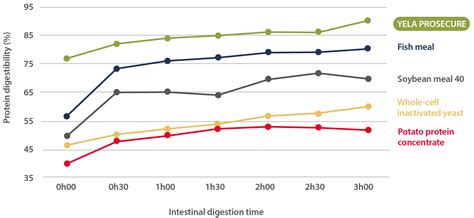 Protein Digestibility Kinetics In Petfood International Pet Food