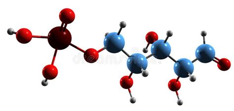 Phosphoribosyl Stock Illustrations 5 Phosphoribosyl Stock Illustrations Vectors And Clipart