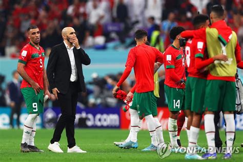 모로코 감독 졌지만 최선 다해세계에 자랑스러운 우리 한국경제 모로코 감독 졌지만 최선 다해세계에 자랑스러운 우리 한국경제