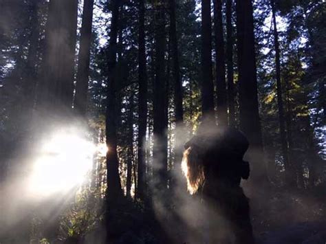 Primal Rage New Official Trailer Terrifying Bigfoot Tale Hitting