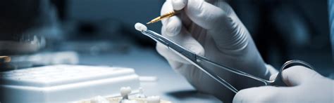Portfolio News Dental Excellence Joins Als Ansor