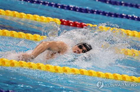 황선우 남자 800m 계영 결승 금빛 역영 연합뉴스